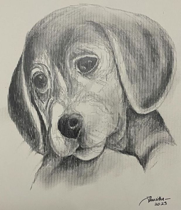 Rhythmic Lines - Drawings & Illustration