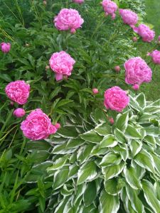 erroldarvey - Photography