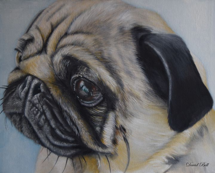 Pug Dog - David Bell Artist - Paintings & Prints, Animals, Birds ...