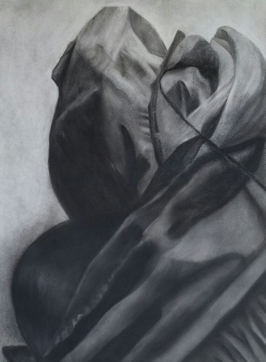 Untitled - Morgan Carroll Art - Drawings & Illustration, Still Life ...