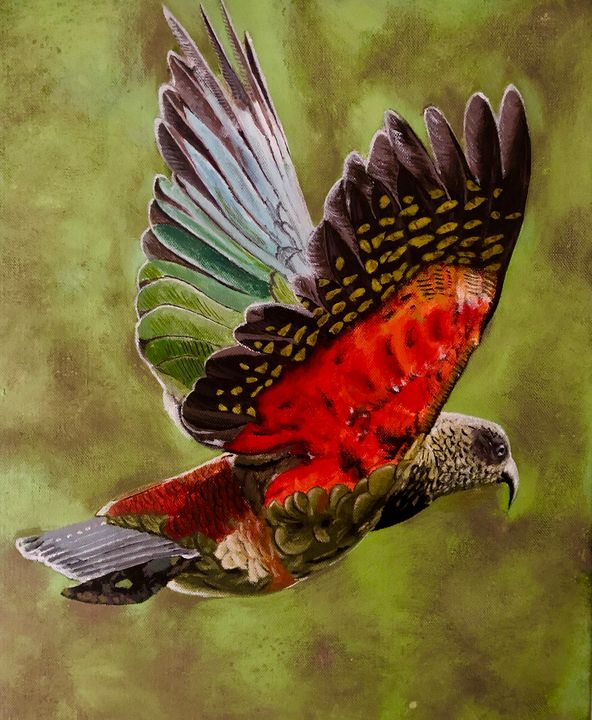 The Kea - Mark Stagg - Paintings & Prints, Animals, Birds, & Fish ...