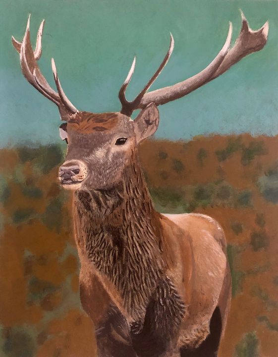The Stag - Mark Stagg - Paintings & Prints, Animals, Birds, & Fish ...