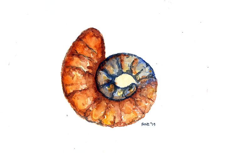 Shrimp - Buster Bone - Paintings & Prints, Animals, Birds, & Fish ...