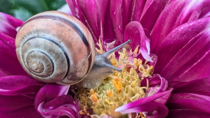 David Holly photography - Photography