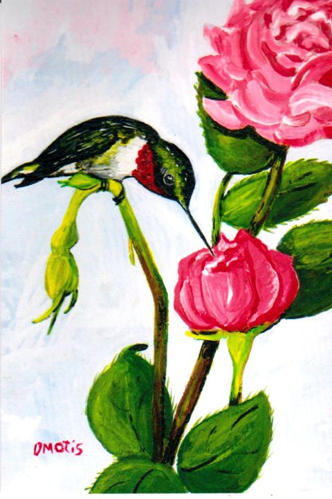 Ruby-throat Hummingbird/Red Rose - DMO - Paintings & Prints, Animals ...