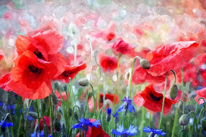 Poppy Field - The Jersey Shore Artist - Paintings & Prints, Flowers ...
