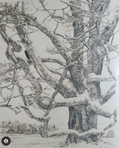Thomas Philbrick - Drawings & Illustration