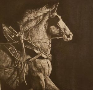 Thomas Philbrick - Drawings & Illustration