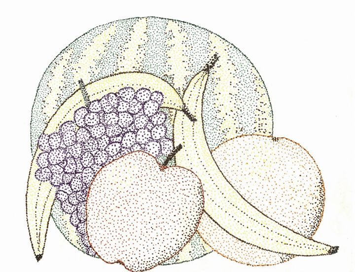 Stippled Fruit Piece - Laura Nybeck's Art - Drawings & Illustration ...