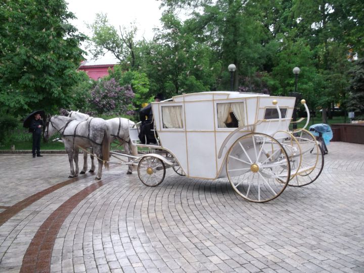 Magical Carriage - Fable Form - Photography, Vehicles & Transportation ...