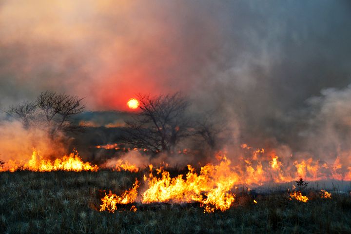 Tallgrass Prairie Fire