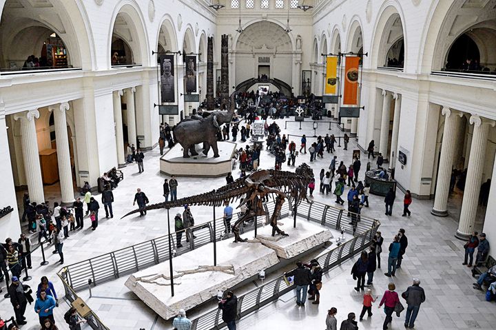 Field Museum Main Hall, Chicago - Catherine Sherman - Digital Art ...