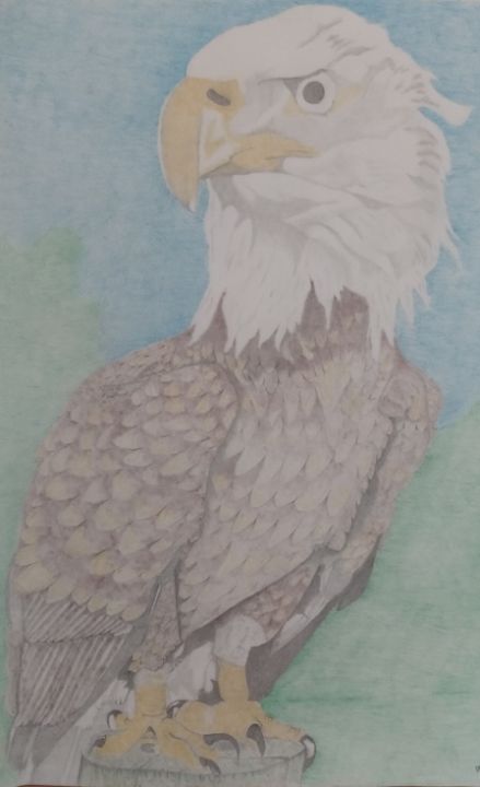 Exquisite Art - Drawings & Illustration