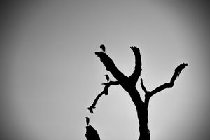 Jordan Zweig - Photography