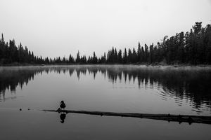 Jordan Zweig - Photography