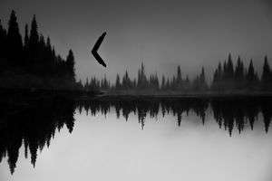 Jordan Zweig - Photography