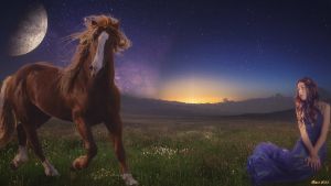 martin bignell aka buzz - Digital Art