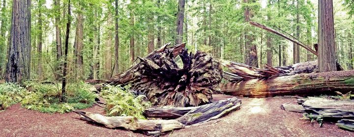 Allenby Art - Photography, Paintings & Prints