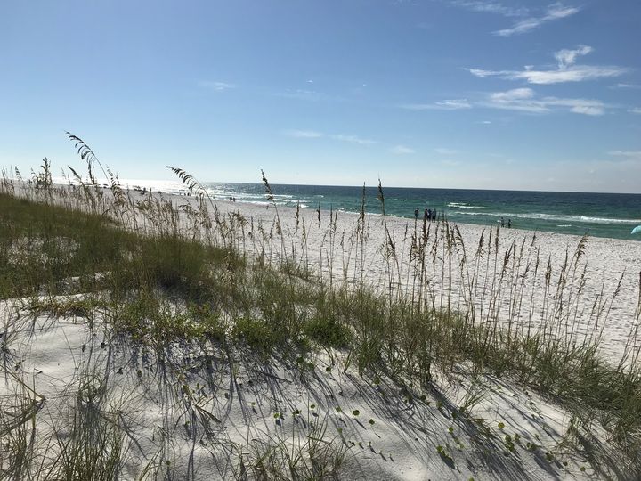 Emma Rosa Photography & Art Gallery - Photography