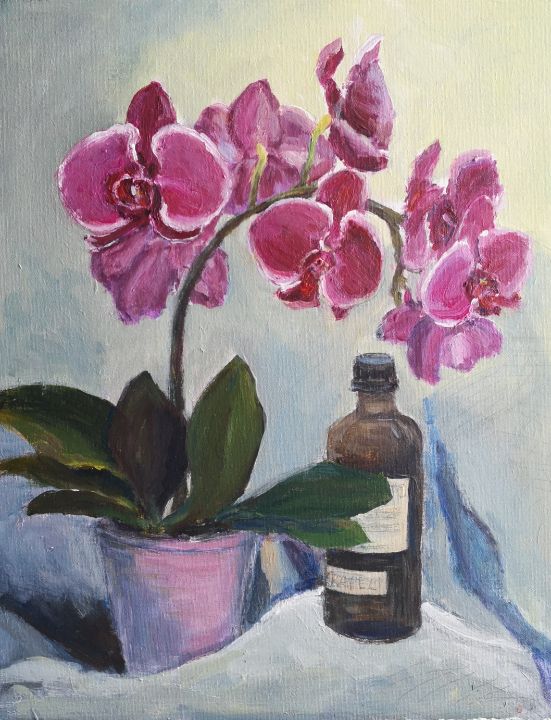 Pink Orchid - Hui Tong - Paintings & Prints, Flowers, Plants, & Trees ...