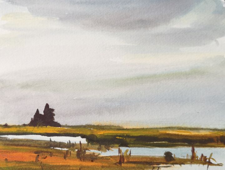 Lake Apopka - Hui Tong - Paintings & Prints, Landscapes & Nature, Lakes ...