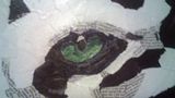 White Tiger Collage - Paper Portraits - Crafts & Other Art, Collages ...