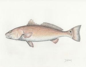Darren Mitchell - Drawings & Illustration, Digital Art & AI ...