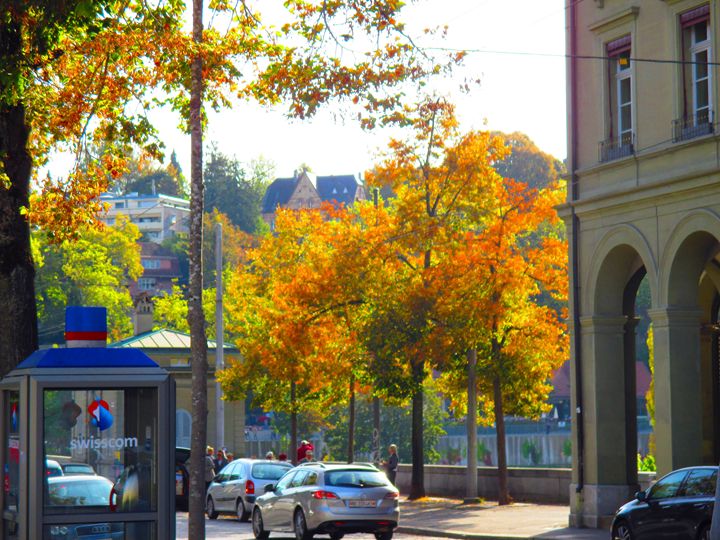 Fall in Switzerland - S. Brown Photography - Photography, Places ...