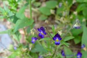 Mike Rochette Visual Arts - Paintings & Prints, Photography