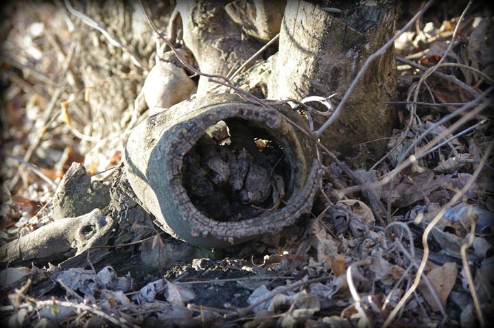 Malachi C. Smith - Photography