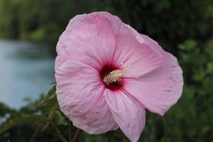 A.I.R Photography - Photography