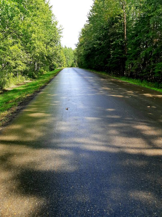 A long walk on a short day - Aron Kane - Photography, Landscapes ...