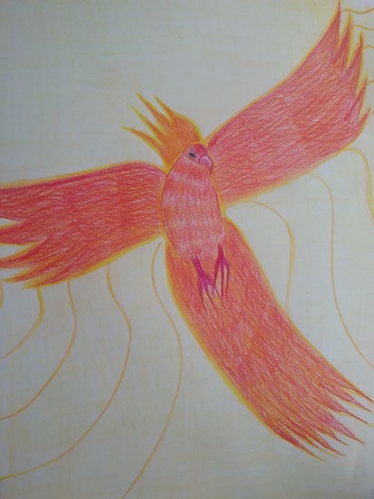 firebird - Naraa - Paintings & Prints, Animals, Birds, & Fish, Birds ...