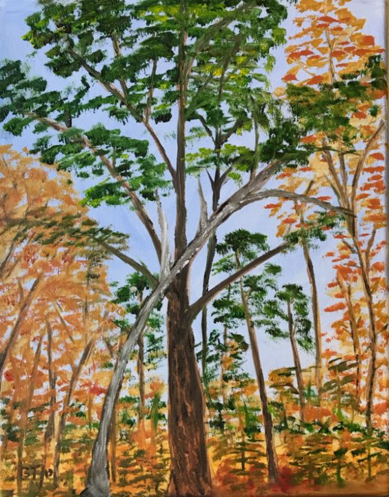 Treetops - Cohutta Art Lady - Paintings & Prints, Flowers, Plants ...