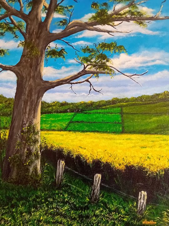 Yellow field - Barbara art - Paintings & Prints, Landscapes & Nature ...