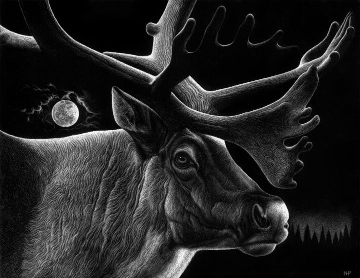 Nathan Perry Fine Art - Drawings & Illustration, Paintings & Prints