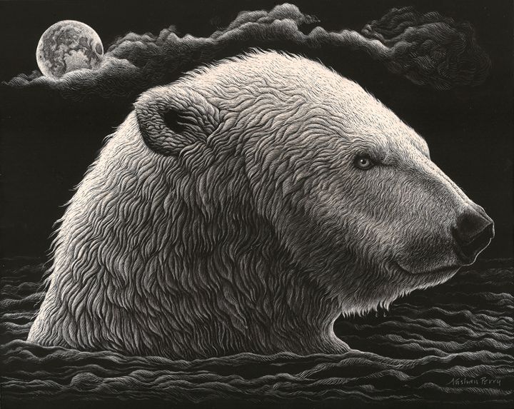 Polar Plunge - Nathan Perry Fine Art - Drawings & Illustration, Animals ...