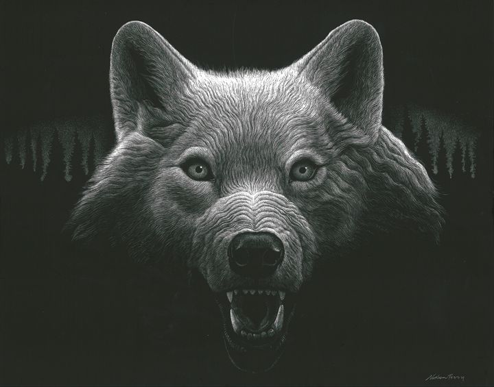 Night Wolf - Nathan Perry Fine Art - Drawings & Illustration, Animals ...