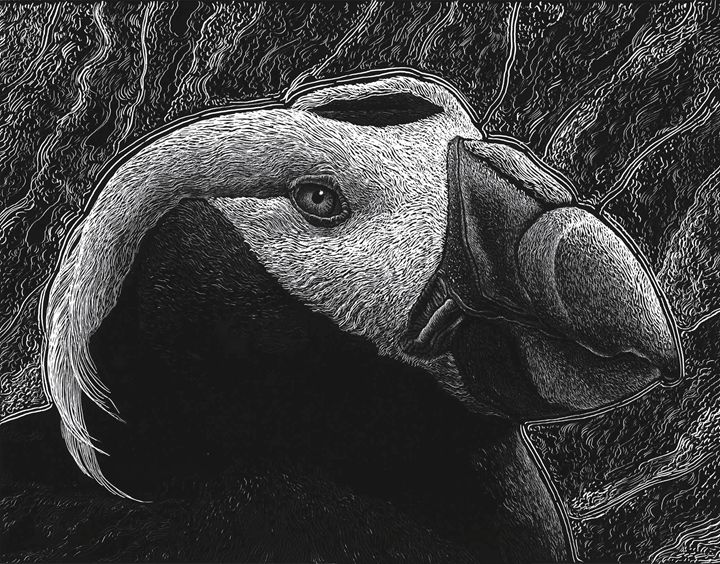 Tufted Puffin - Nathan Perry Fine Art - Drawings & Illustration ...
