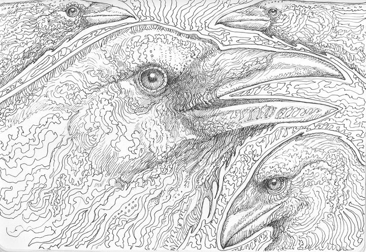 Ravens 01 - Nathan Perry Fine Art - Paintings & Prints, Animals, Birds ...