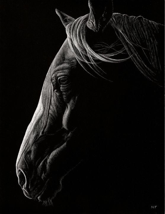 Night Horse - Nathan Perry Fine Art - Drawings & Illustration, Animals ...