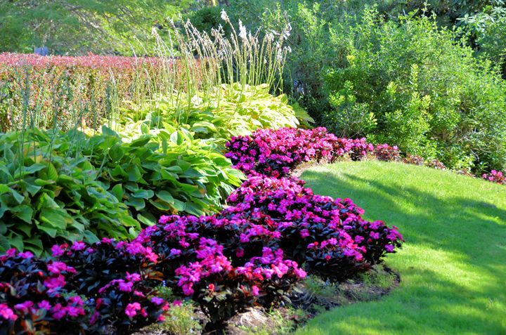 Cape Cod Flowers - Richard W. Jenkins Gallery - Photography, Flowers ...