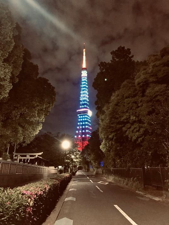 Tokyo Lockdown 2020 - Teacher David - Photography, Buildings ...
