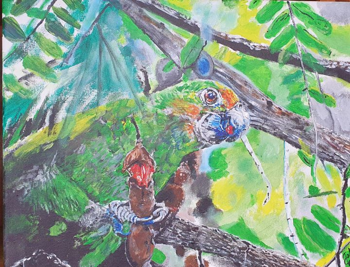 ABACO ARTS & CRAFTS - Paintings & Prints