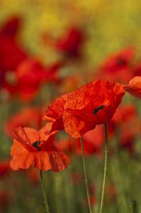 Tim Gartside Photography - Photography