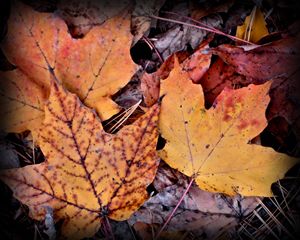 John Wortman - Photography