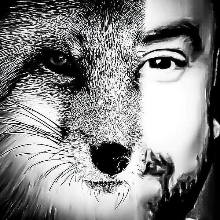 Willowmoon - Digital Art & AI, Drawings & Illustration, Photography, Paintings & Prints