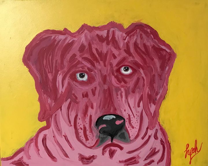Sampson - Hidden Gems Art Gallery - Paintings & Prints, Animals, Birds ... Sampson - Hidden Gems Art Gallery - Paintings & Prints, Animals, Birds ...