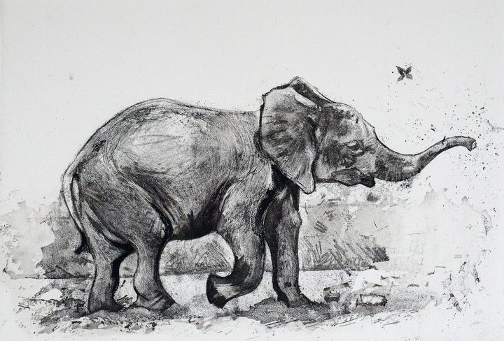 Baby Elephant etching - Limited Edition Prints - Paintings & Prints ...