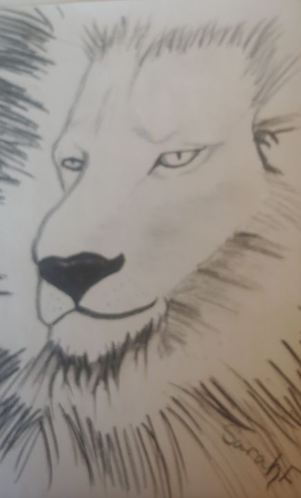 SNS by Sarah - Paintings & Prints, Photography, Drawings & Illustration